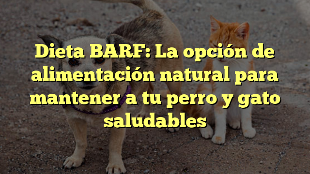 Dieta BARF: La Opción De Alimentación Natural Para Mantener A Tu Perro ...