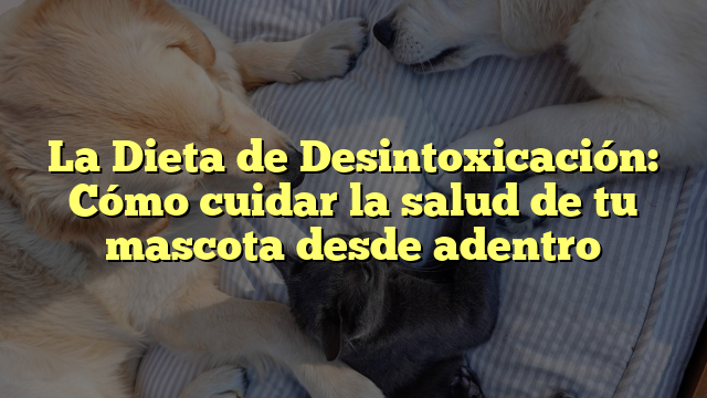 La Dieta De Desintoxicación: Cómo Cuidar La Salud De Tu Mascota Desde ...