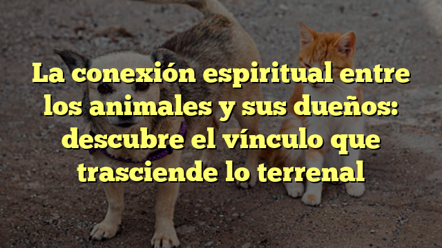 La Conexión Espiritual Entre Los Animales Y Sus Dueños: Descubre El ...