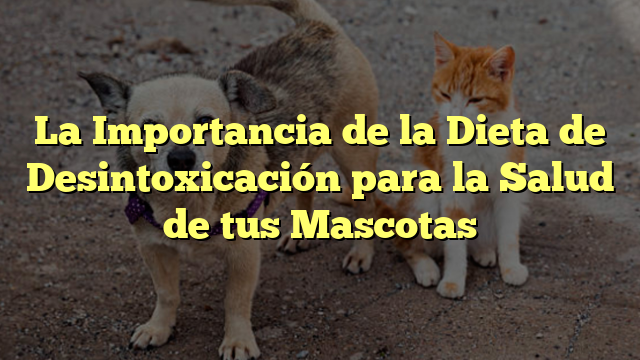 La Importancia De La Dieta De Desintoxicación Para La Salud De Tus ...