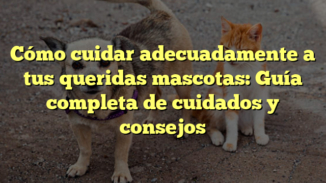 Cómo Cuidar Adecuadamente A Tus Queridas Mascotas: Guía Completa De Cuidados Y Consejos ...