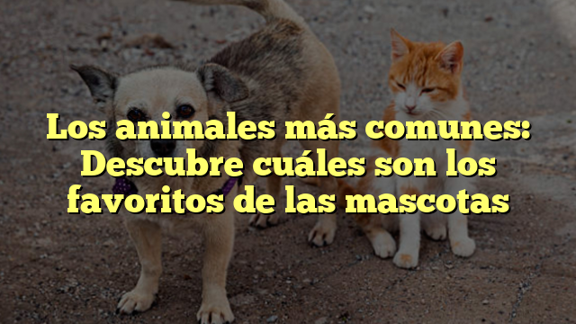 Los Animales Más Comunes: Descubre Cuáles Son Los Favoritos De Las ...