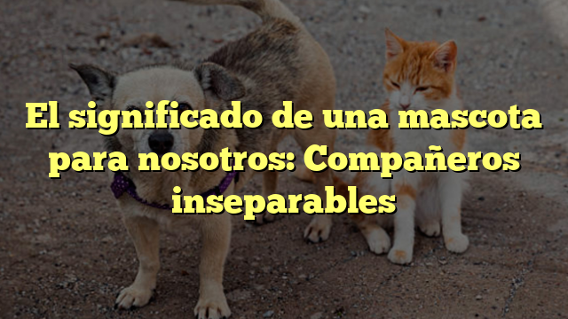 El Significado De Una Mascota Para Nosotros: Compañeros Inseparables ...