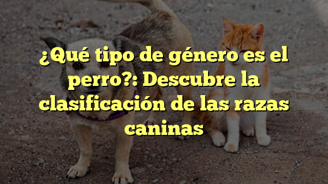 ¿Qué Tipo De Género Es El Perro?: Descubre La Clasificación De Las ...