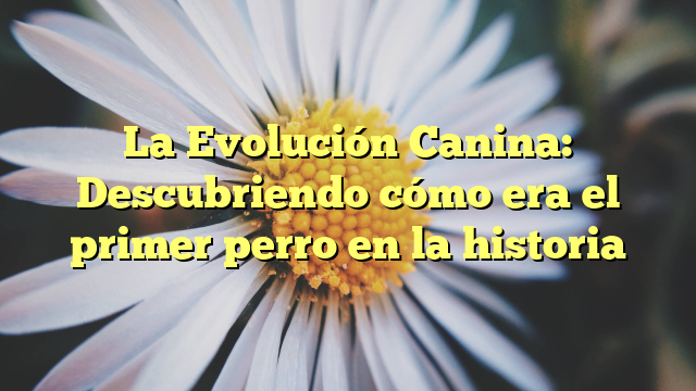 La Evolución Canina: Descubriendo Cómo Era El Primer Perro En La ...